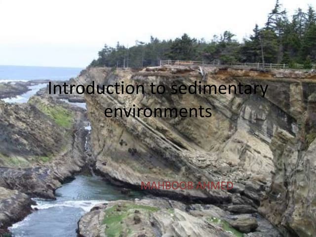 Marginal marine depositional environments | DOCX