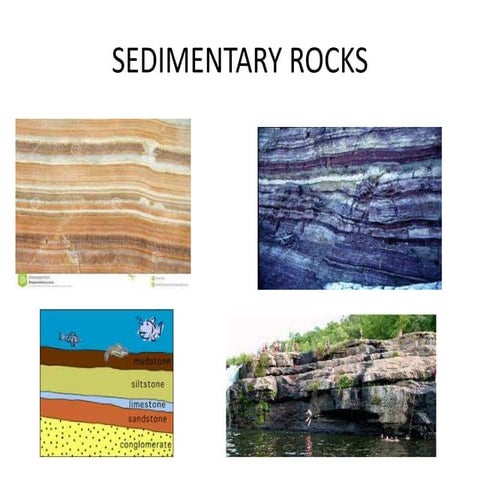 Sedimentary rocks | PPTX
