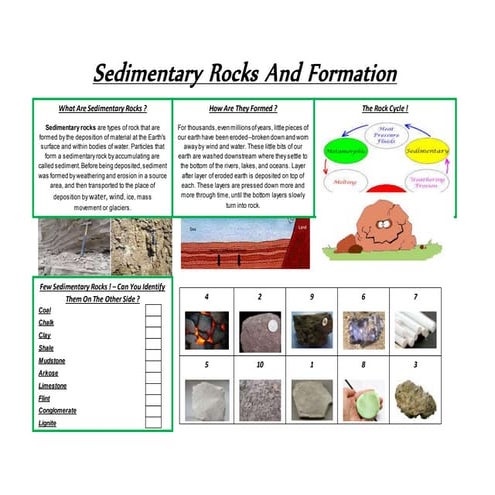 Sedimentary Rocks and Formation | DOCX