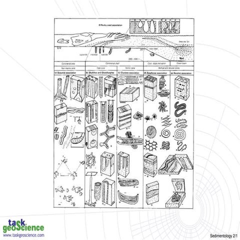 Sedimentary structures.ppt