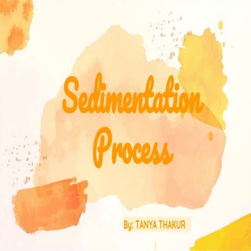Sedimentation Process | PPT