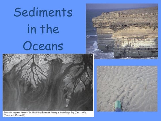 source of sediments.pptx | Geology | Science