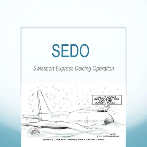 SEDO INTRODUCTION | PPT