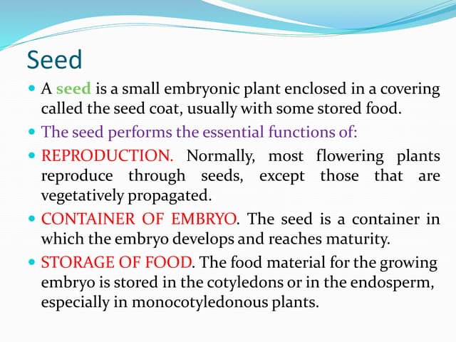 Seed structure | PPT
