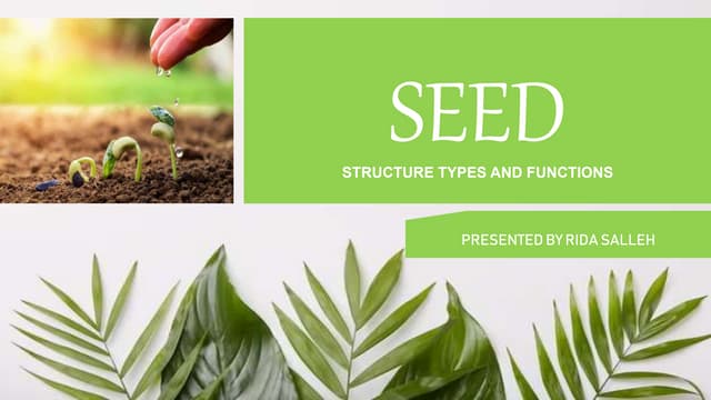 seed : structure, parts of a seed, types | PPTX