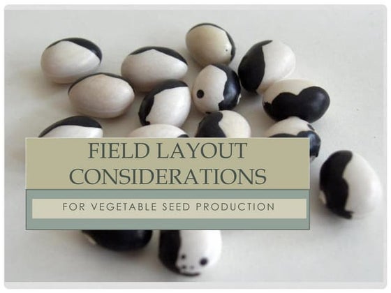 4. Classification of vegetables crops.pptx