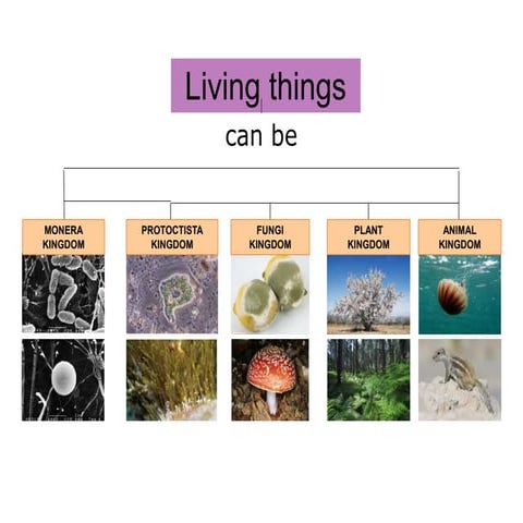 Year 5 - Natural Science - Unit 2: CLASSIFICATION OF LIVING THINGS ...