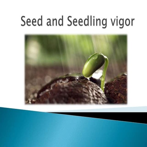 Seed and seedling vigor 17 | PPTX