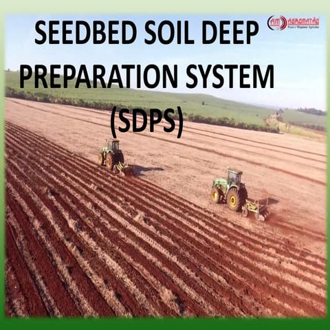 Seedbed Soil Deep Preparation System + Meiosi + Pre Germinated Seed Cane | PDF