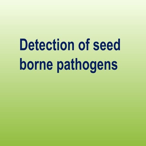 seed borne diseases 2 Gireeshsir.pptx