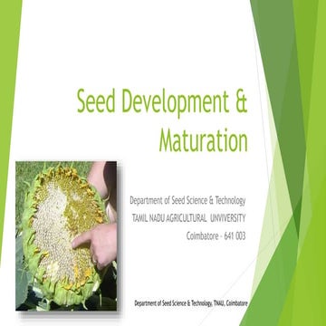 Stages of seed development | PPTX