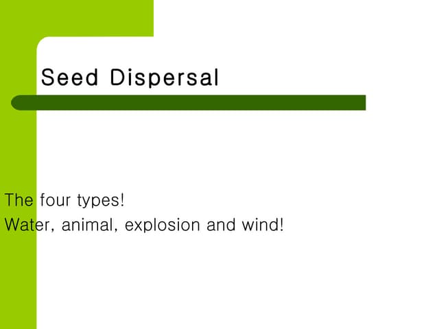 Mechanisms of seed dispersal | PPT