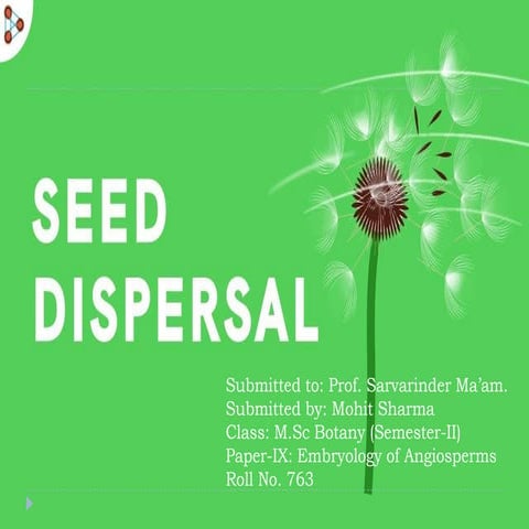 Seed Dispersal (Reproductive Biology of Angiosperms) | PPTX