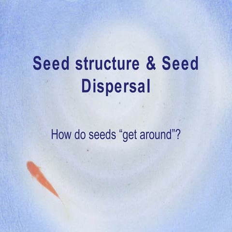 Mechanisms of seed dispersal | PPT