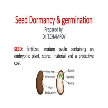 Dormancy , Hormonal regulation of seed germination , Role of Plant ...