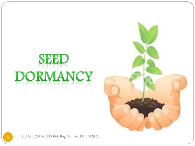 Seed dormancy (Plant Physiology) | PPTX