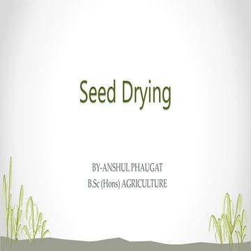 Seed drying and it's methods | PPTX