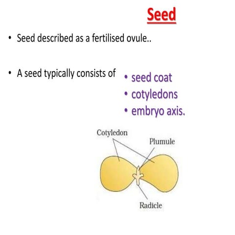 Post-Fertilization and Formation & Development of Seed and Fruit.pdf