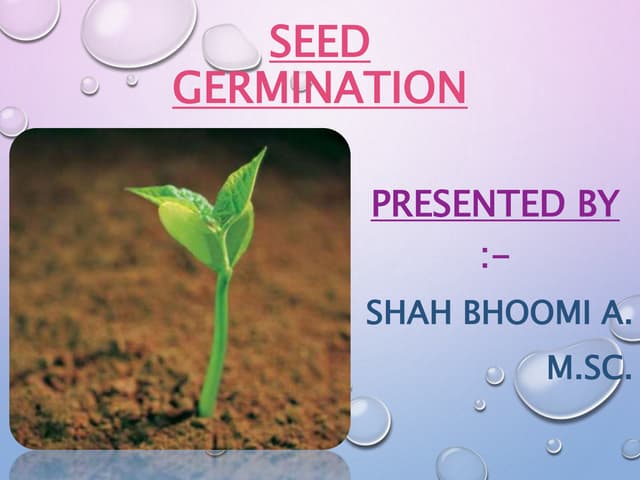 Seed development | PPTX