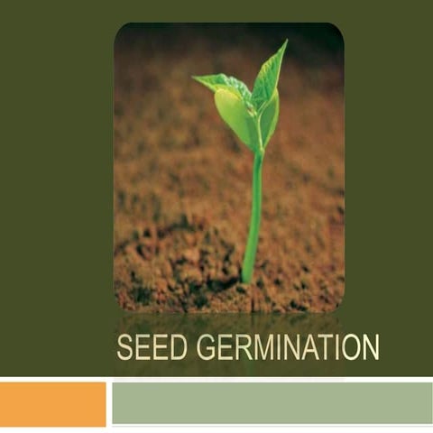 SEED GERMINATION | PPTX