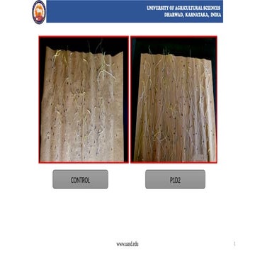 seed germination test between paper.pptx