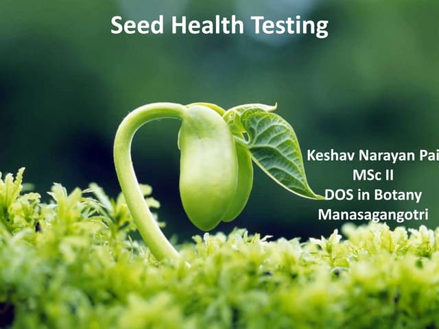 Seed Testing For Germination Pptx