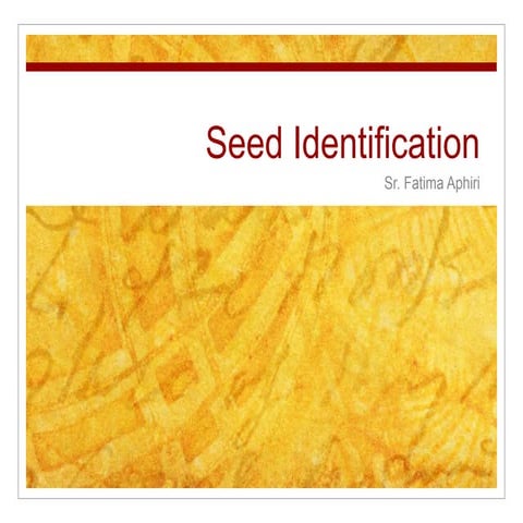 Seed Identification | PPTX