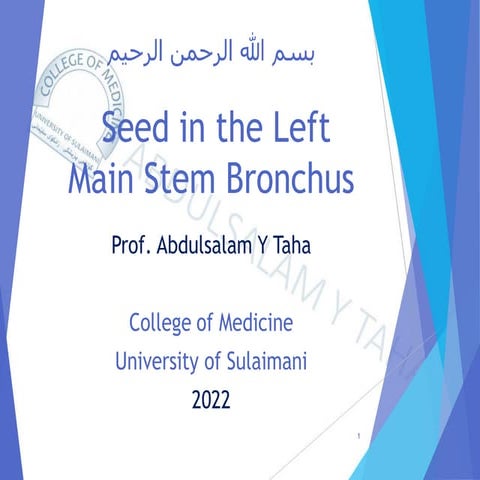 Seed in the Left Main Stem Bronchus.pdf