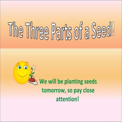 Seed structure | PPT