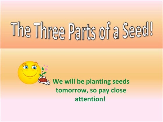 Parts of-a-seedling 2013 | PPT