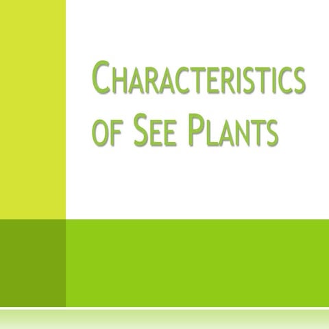 Seed Plants | PPTX