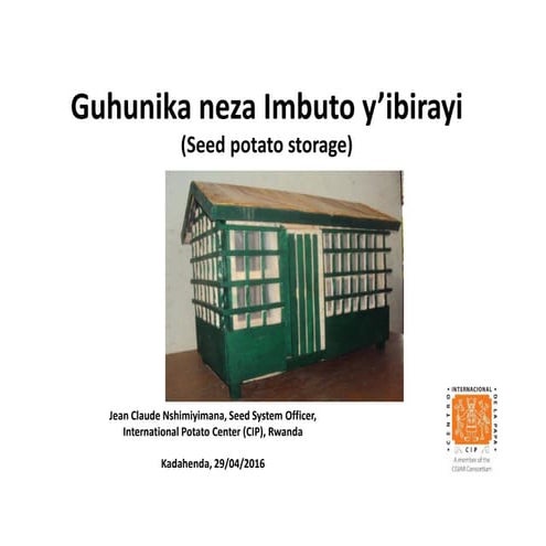 Seed potato storage | PDF