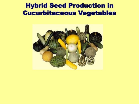 Floral biology of important cucurbits | PPTX