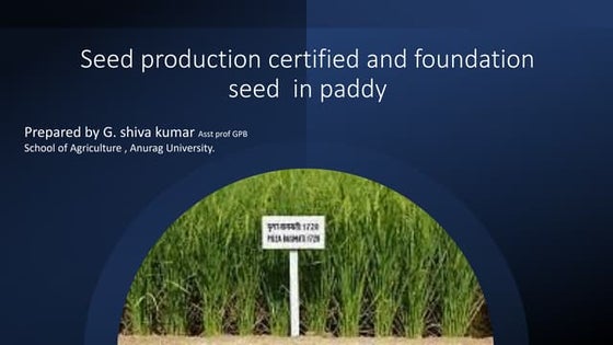 Breeding Techniques of Sunflower | PPTX | Agriculture | Industries