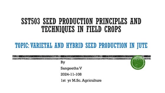 Mustard | PPTX | Gardening | Home & Garden