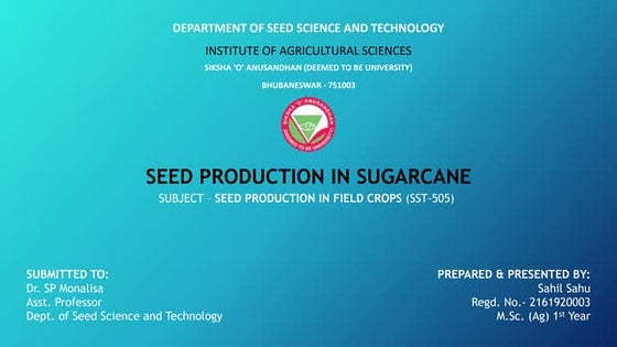 Sugar-Bean-Production-Manual. Helping small | PDF