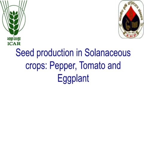 floral biology of tomato | PPTX