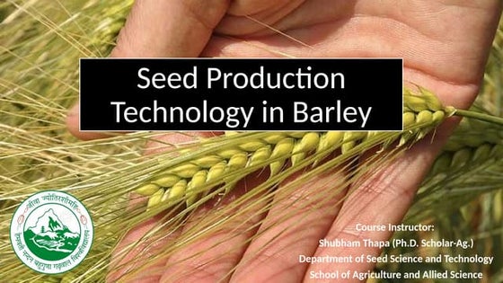 Seed Production Technology in Green Gram.pptx