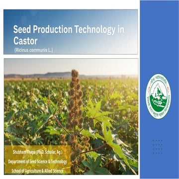 Seed Production Technology in Castor.pptx