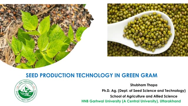 Production and protection technology of mungbean & urdbean | PPTX