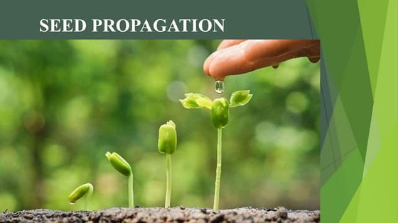 Seed science and technology - Basics | PPTX | Agriculture | Industries