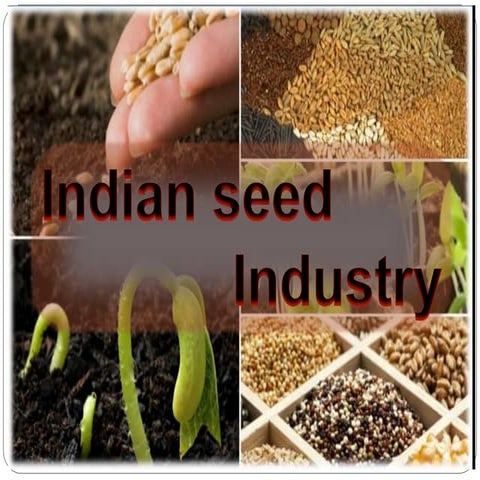 Seed Industry In India Ppt – ALL INDIA SEED REQUIREMENT & AVAILABILITY ...