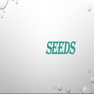 Seeds | PDF