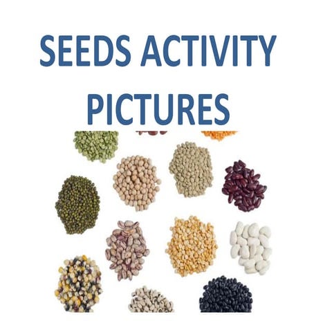 Seeds activity pictures | PPTX