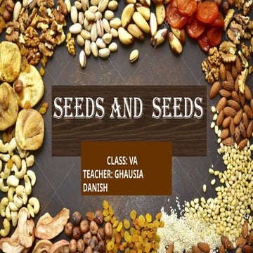 SEEDS AND SEEDS Ghausia. Ncert, class 5 , CBSE, EVS book ( looking ...