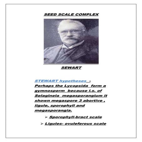 SEED SCALE COMPLEX GYMNOSPERMS | DOCX