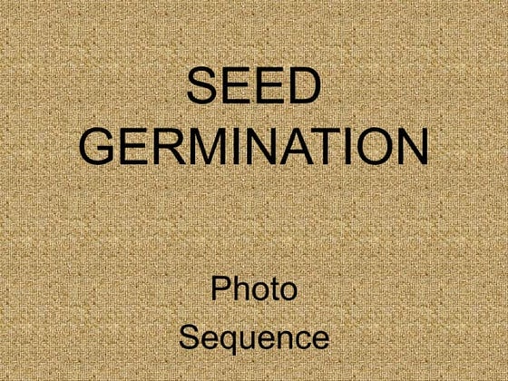 Seed Testing for Germination | PPT