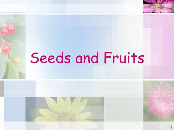 seed : structure, parts of a seed, types | PPTX | Gardening | Home & Garden