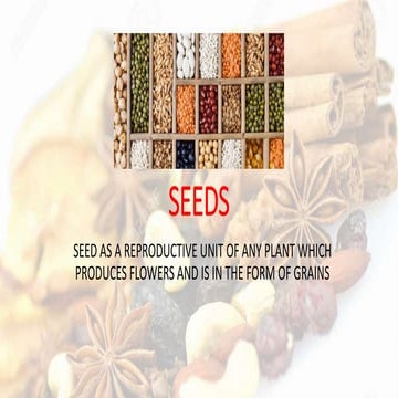 Seeds,nuts and spices | PPTX