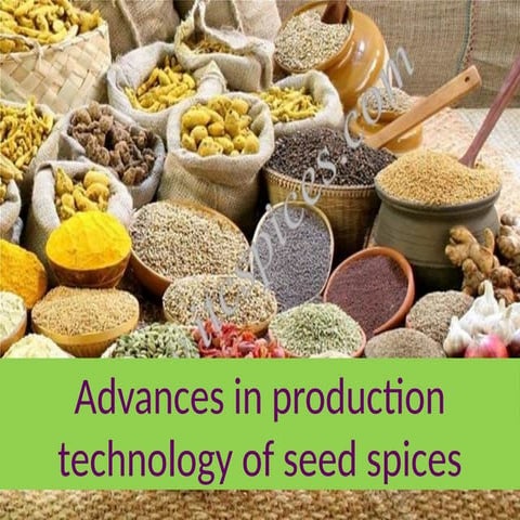 Production technology of seed spices,,,, | PPTX